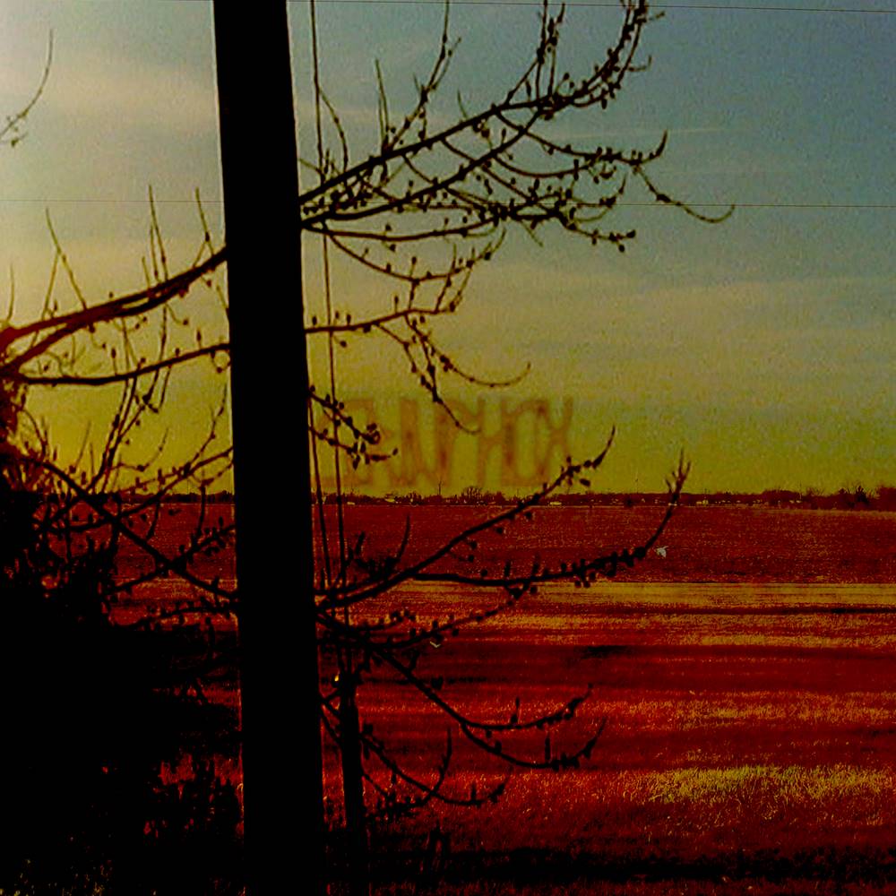 Album - Redscientist Labs